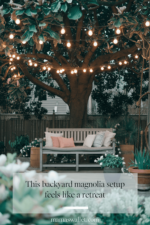 5 Dreamy Magnolia Park Garden Ideas That Feel Like A Southern Retreat ...